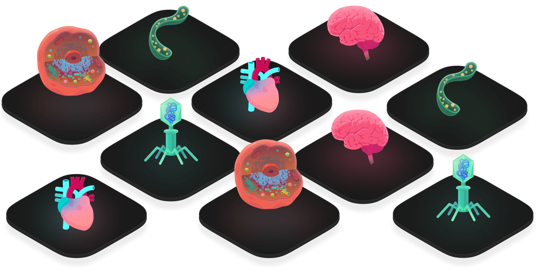 Booster Prep - Helping Individuals Achieve Their Dreams