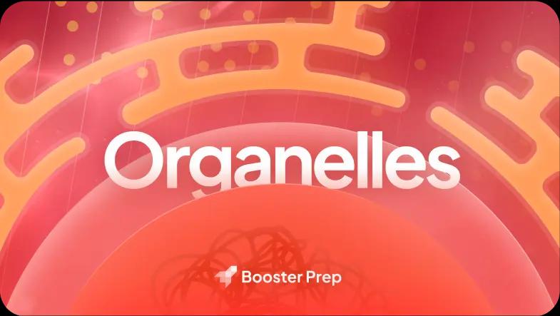 OATBooster | Upgrade Your Membership