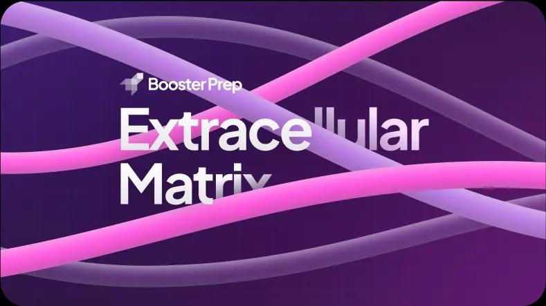 DATBooster | Upgrade Your Membership