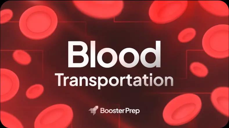 DATBooster | Upgrade Your Membership